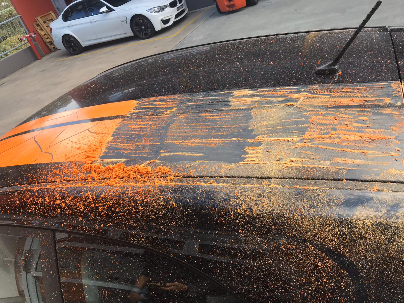 Gallery: Signage Removal Gallery